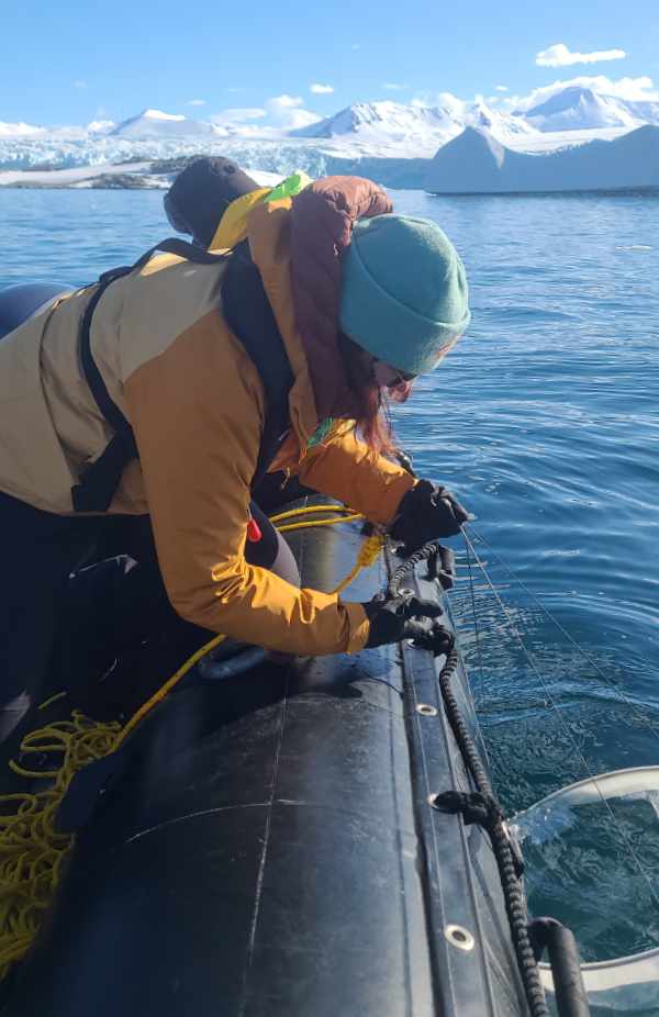 Strathclyde Scientists To Use Satellite Technology To Monitor Antarctic ...